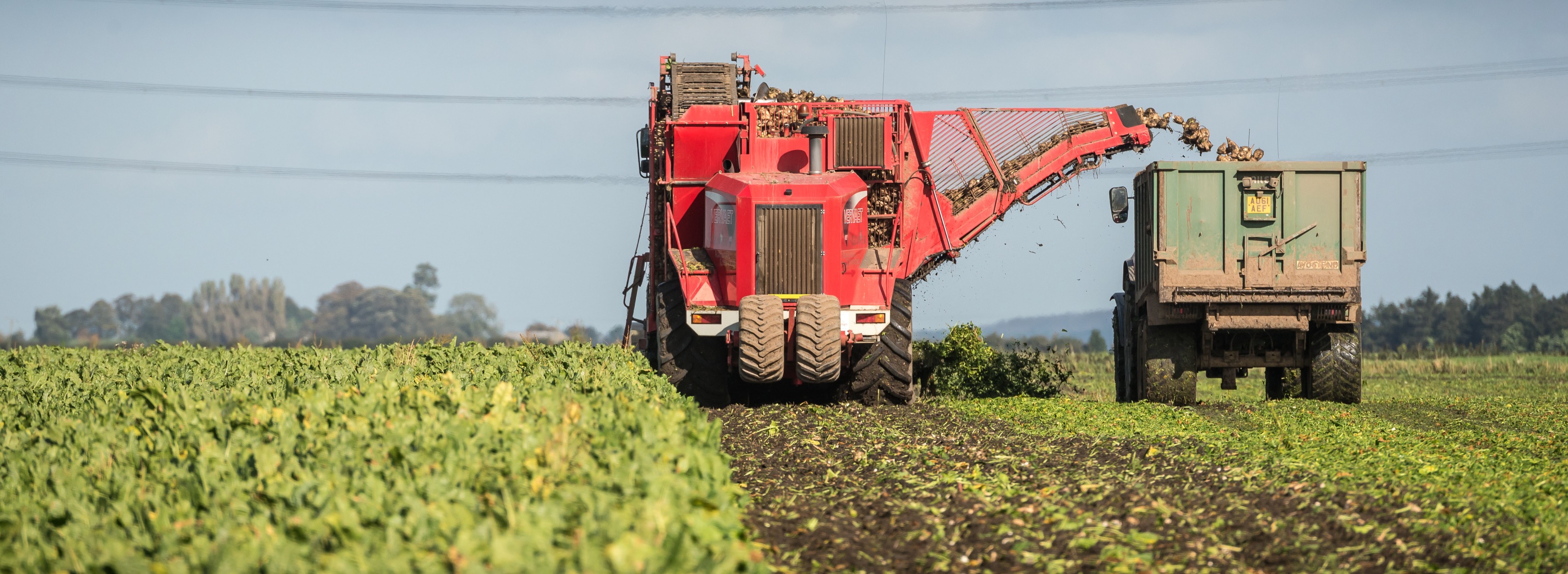 With harvest in full swing, how can Greg’s Petroleum Service help you?